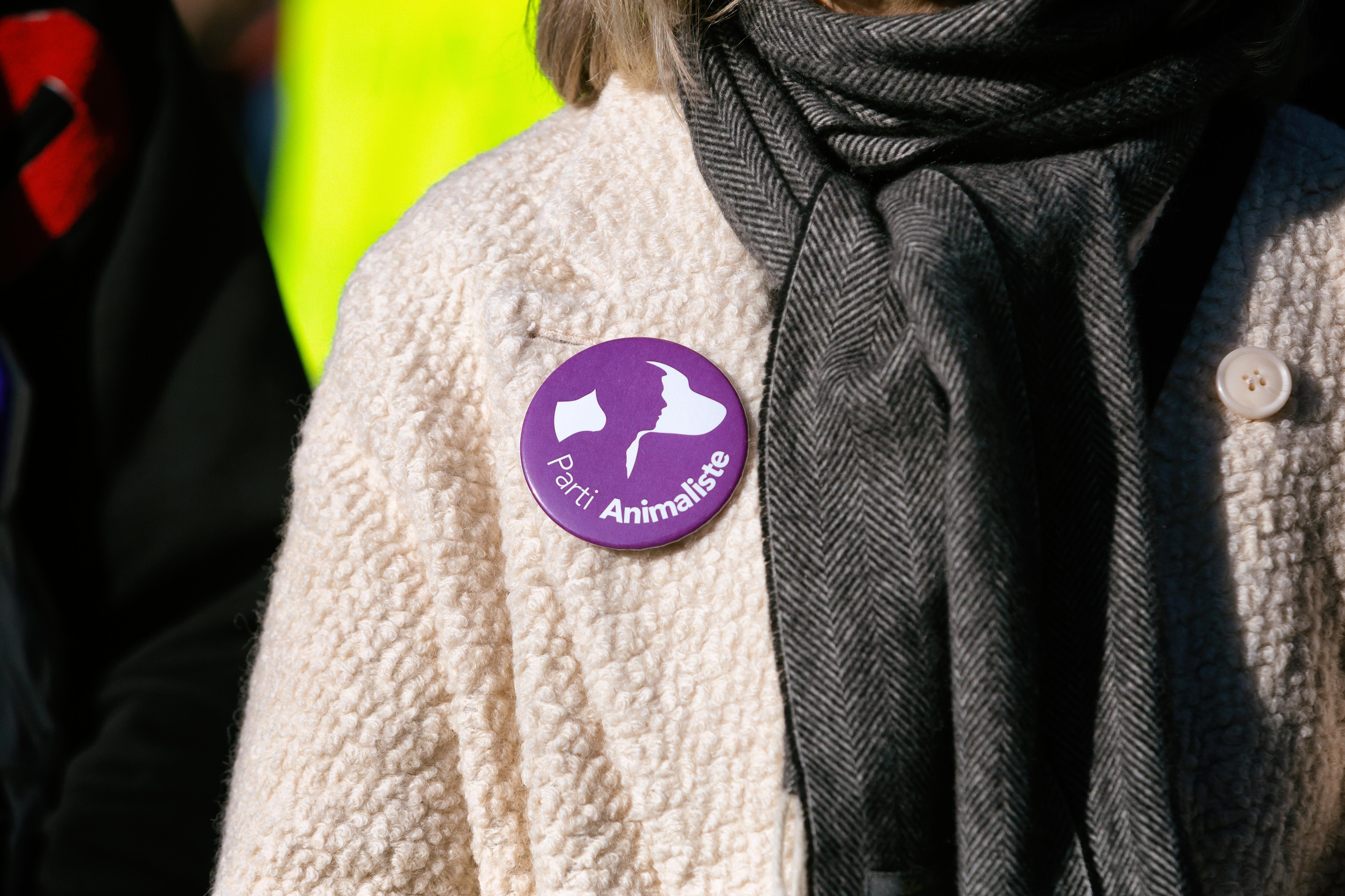 Voter pour le Parti animaliste, une impasse stratégique | NPA